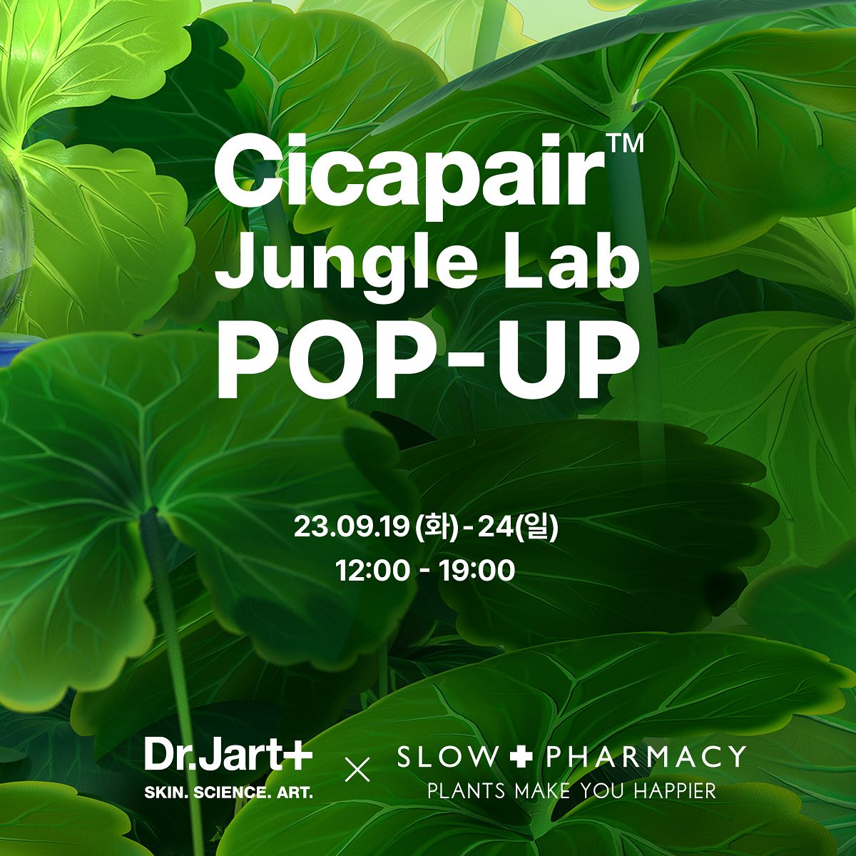 POPPLY | 팝플리 - 전국 팝업스토어 정보 플레이스 리스트